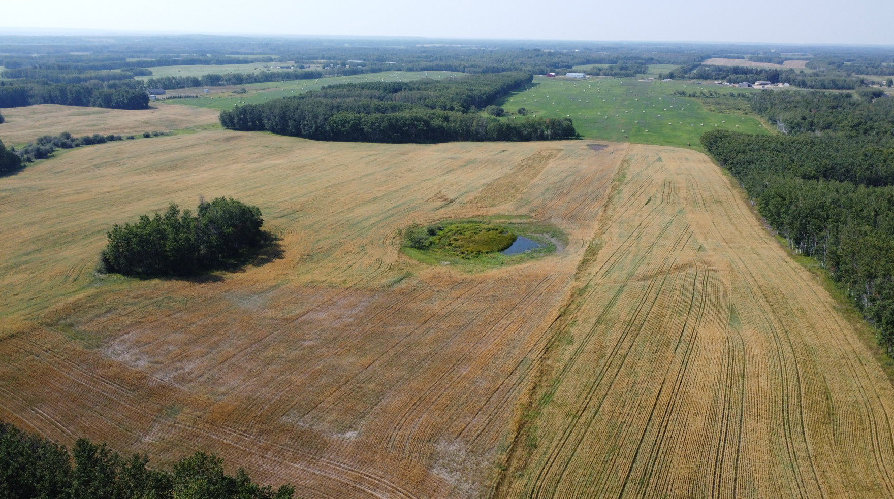 Caring for land and people through our reclamation program | SaskEnergy